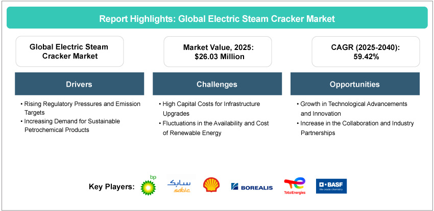 Electric Steam Cracker Market Analysis & Forecast | BIS Research