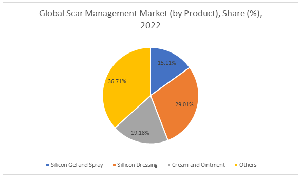 Scar Management Market Analysis and Forecast, 2023-2030 | BIS Research
