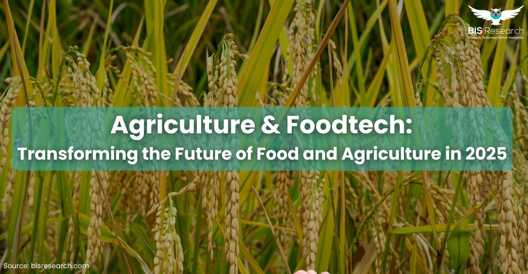 Agriculture and Foodtech: Transforming the Future of Food & Agriculture ...